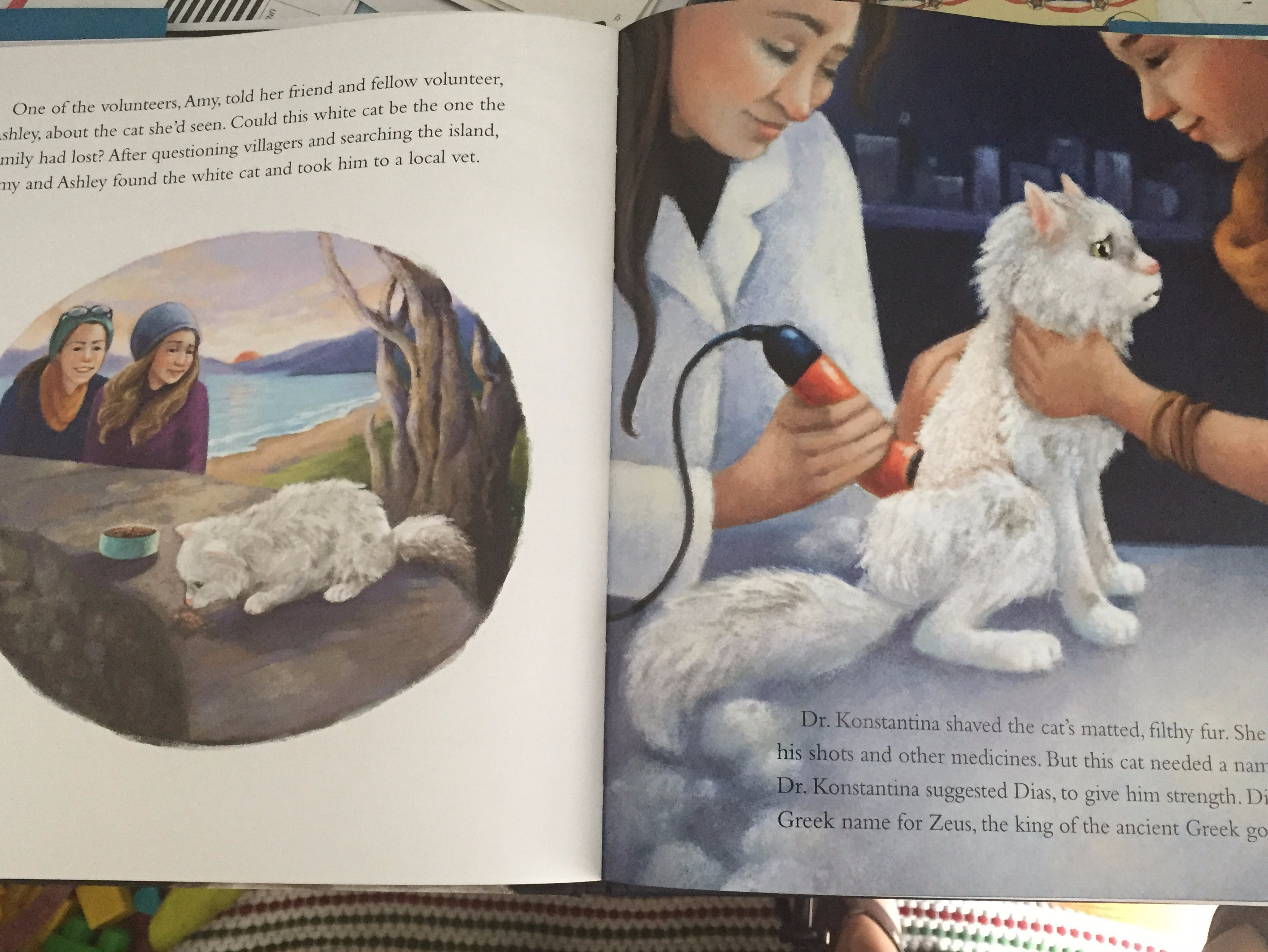 Lost and Found Cat: The True Story of Kunkush’s Incredible Journey by ...