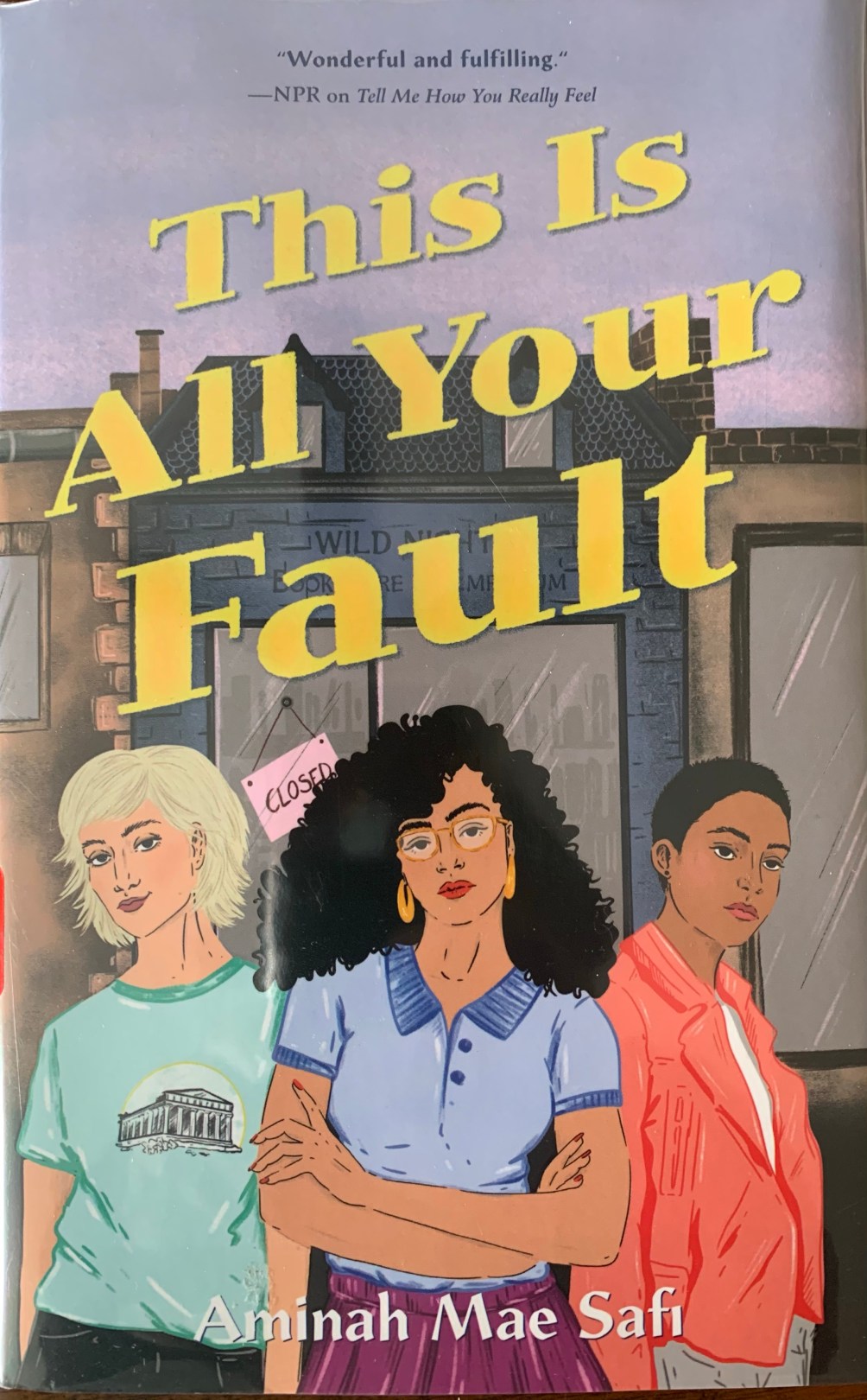 This Is All Your Fault by Aminah Mae Safi | Islamic School Librarian
